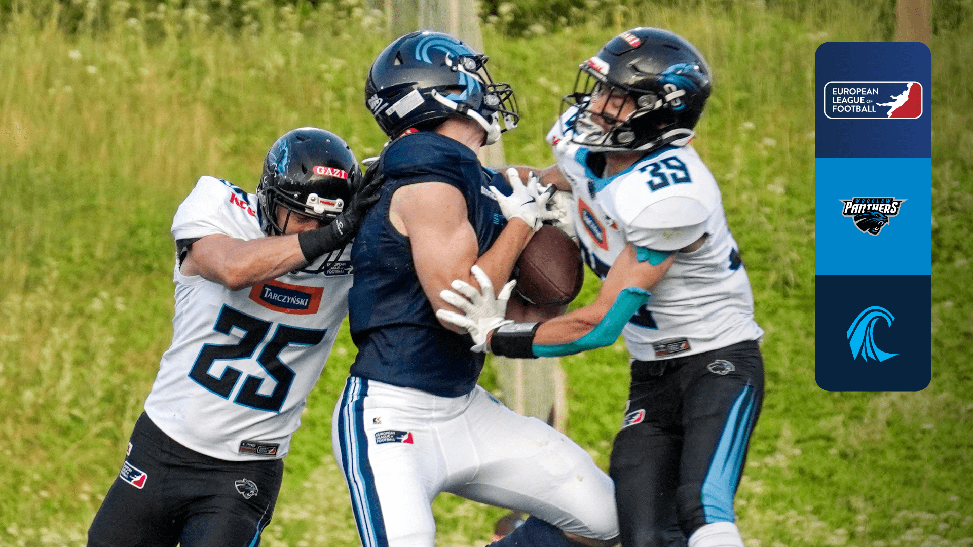 Watch Wrocław Panthers @ Nordic Storm Live Stream | DAZN GM