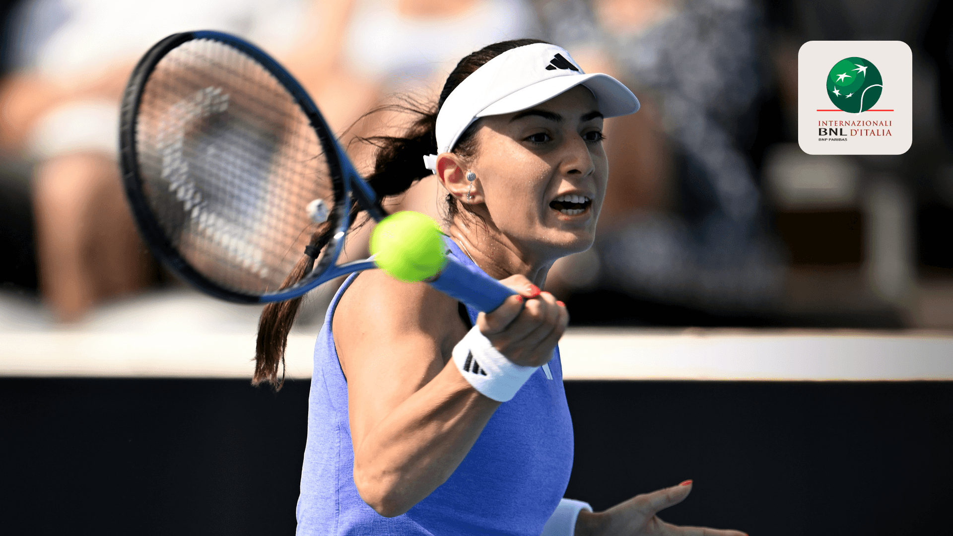 Watch Cocciaretto vs. Avanesyan Online | DAZN DJ