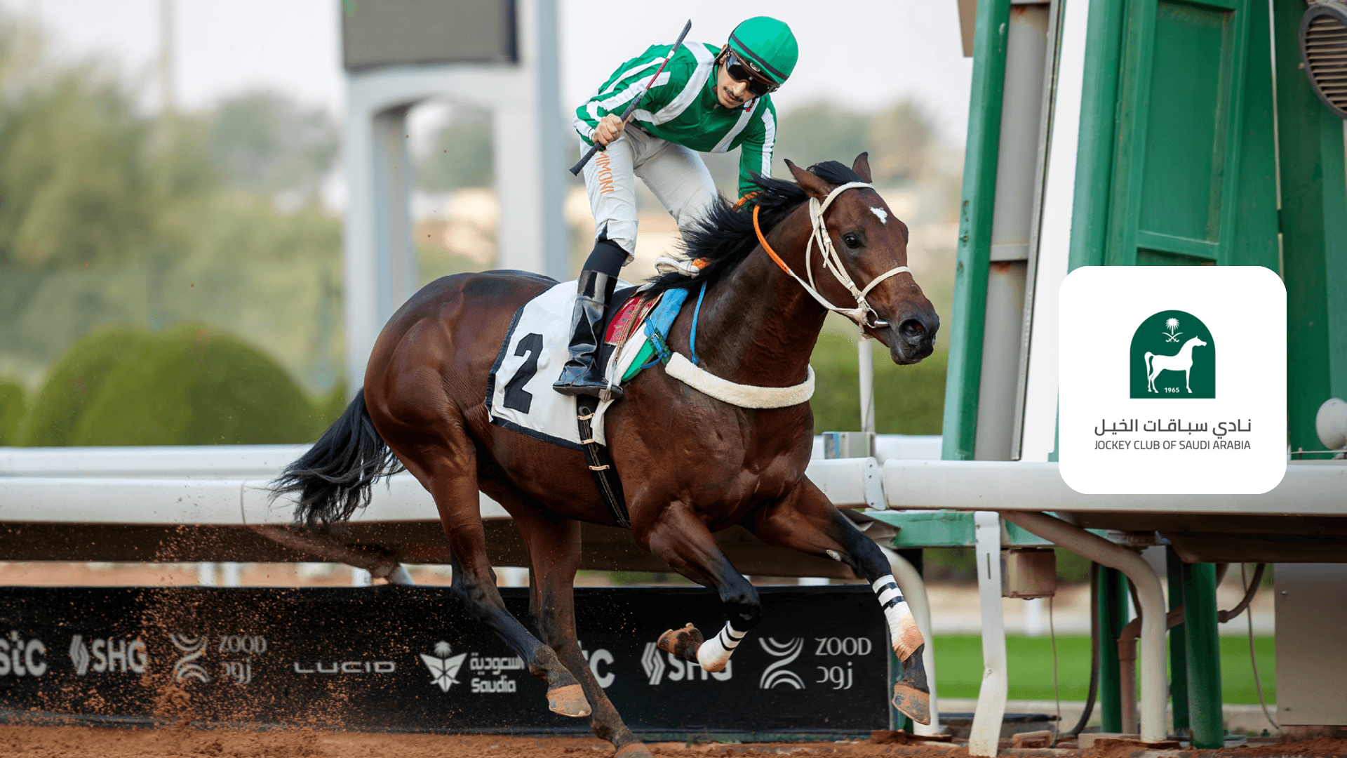 Watch Custodian of the Two Holy Mosque Cup Race Night (Saudi Cup Trials ...
