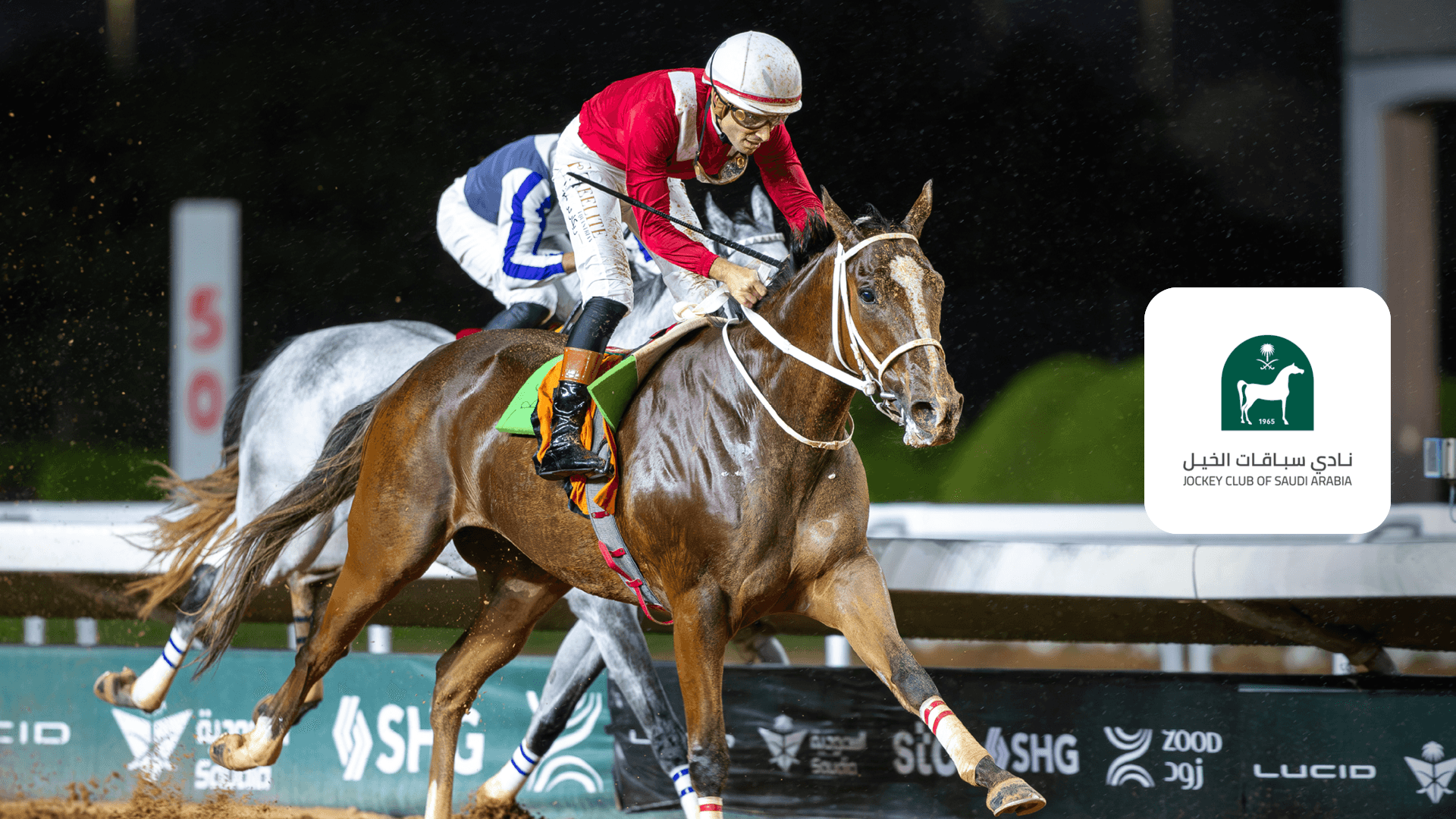 Watch Ministry of Education Cup Race Night Live Stream Online | DAZN AU