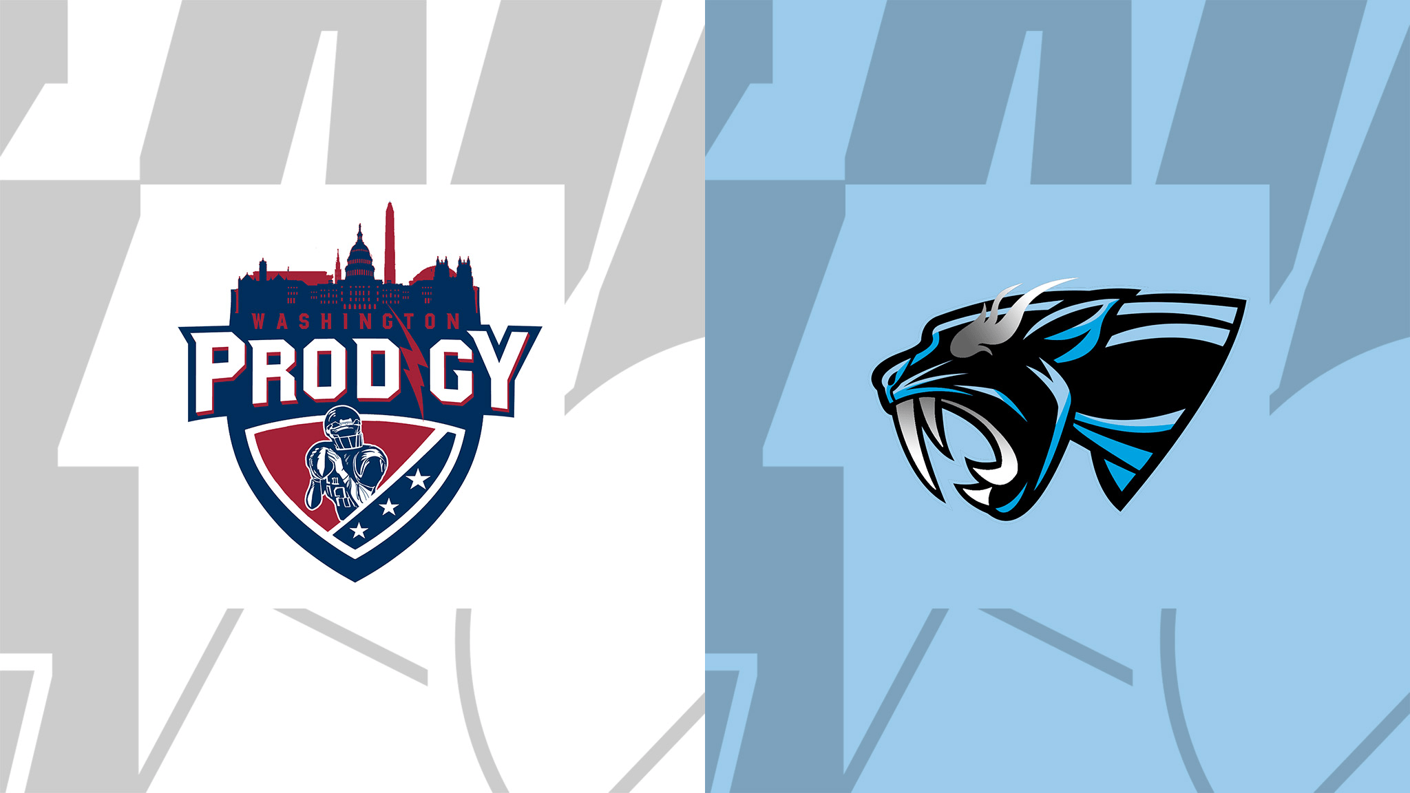 Watch Washington Prodigy v Mississippi Panthers Live Stream | DAZN IT