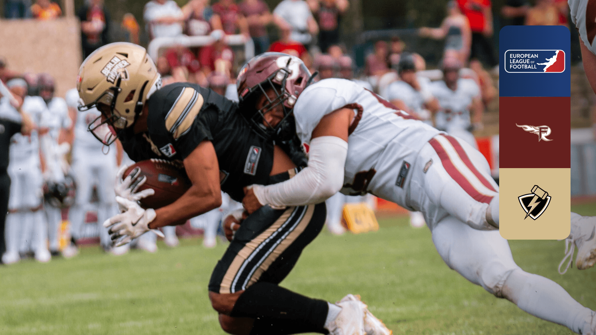 Watch Rhein Fire @ Berlin Thunder Live Stream | DAZN LB