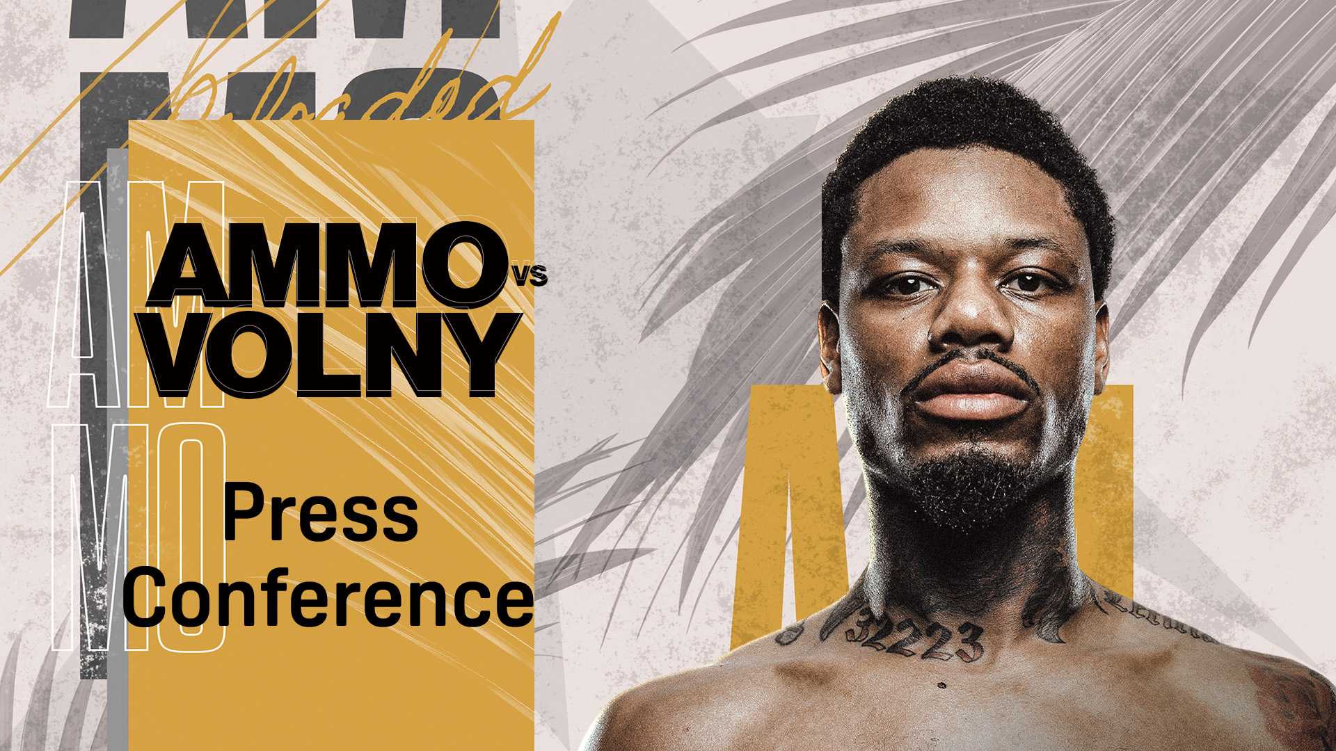 Williams vs. Volny: Press Conference | DAZN US