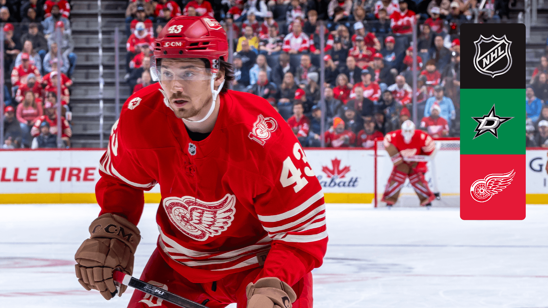 Watch Stars @ Red Wings Live Stream Online | DAZN QA