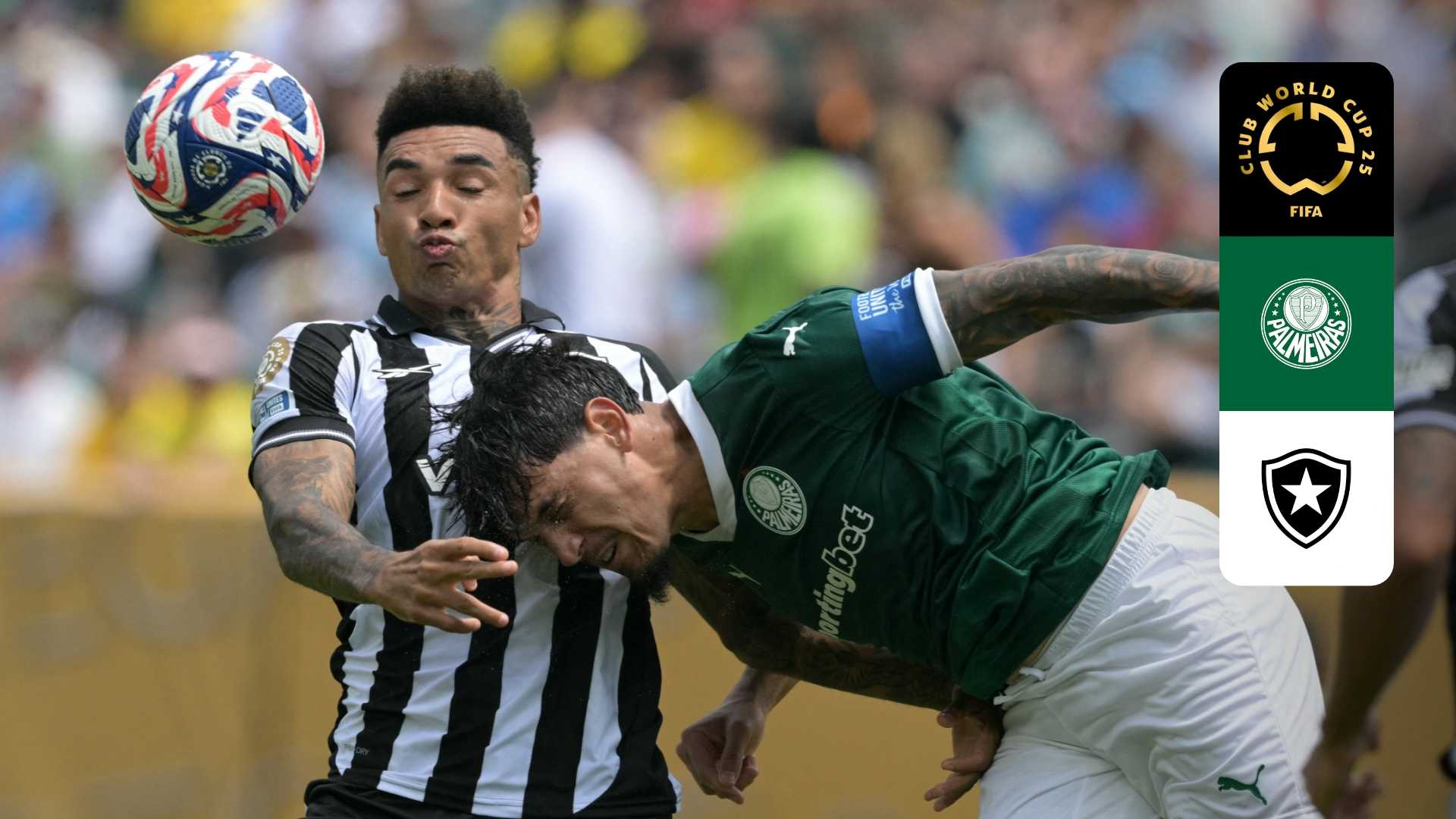 Watch Palmeiras vs. Botafogo Online | DAZN DZ