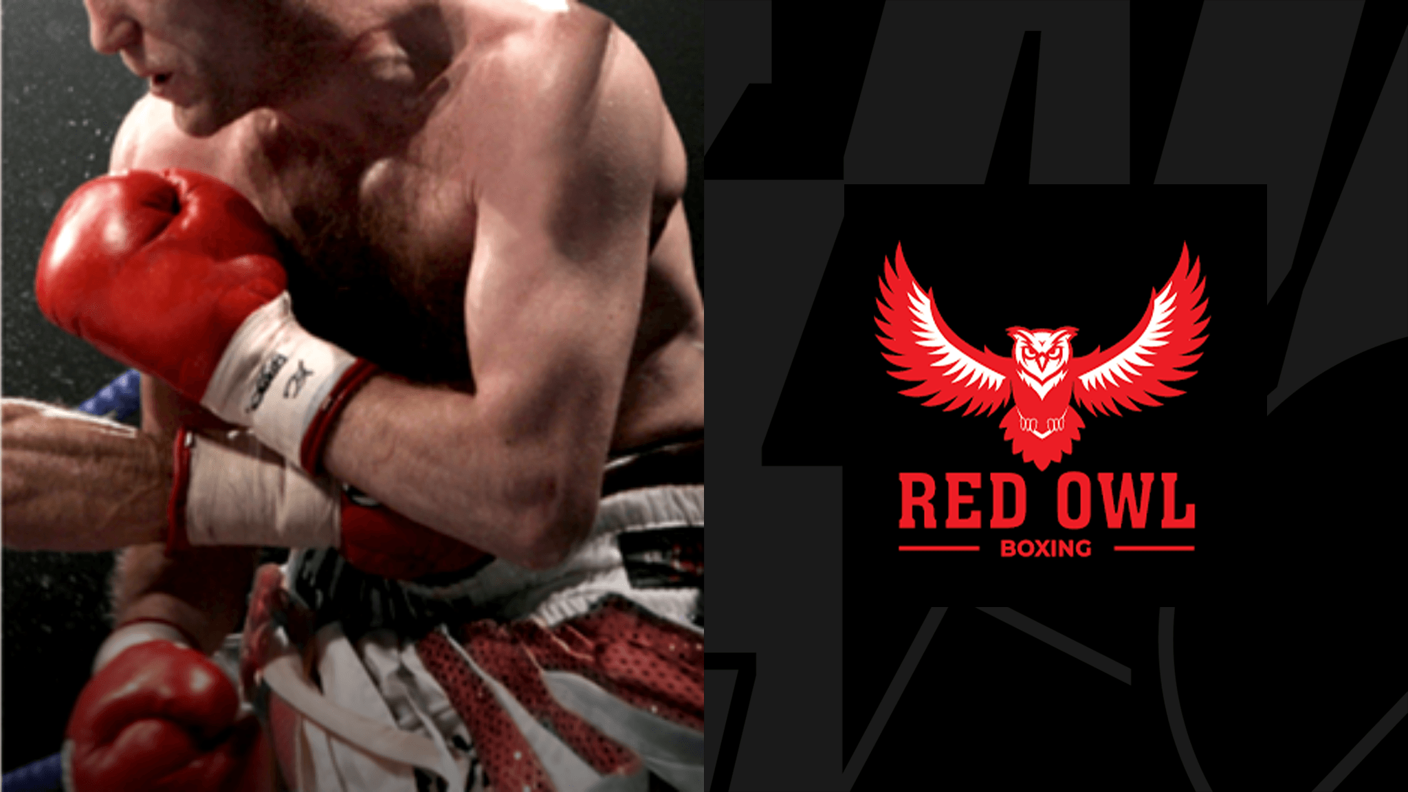 Watch Red Owl Boxing - Toler vs. Panin Live Stream | DAZN PF