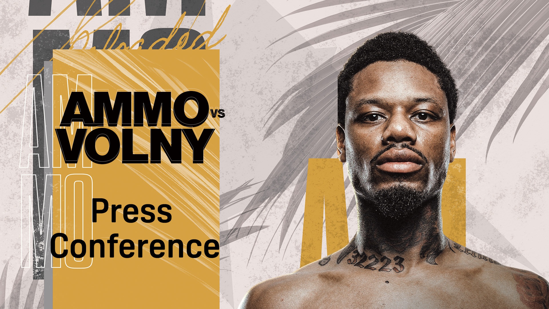 Watch Williams vs. Volny: Press Conference Live Stream | DAZN GB
